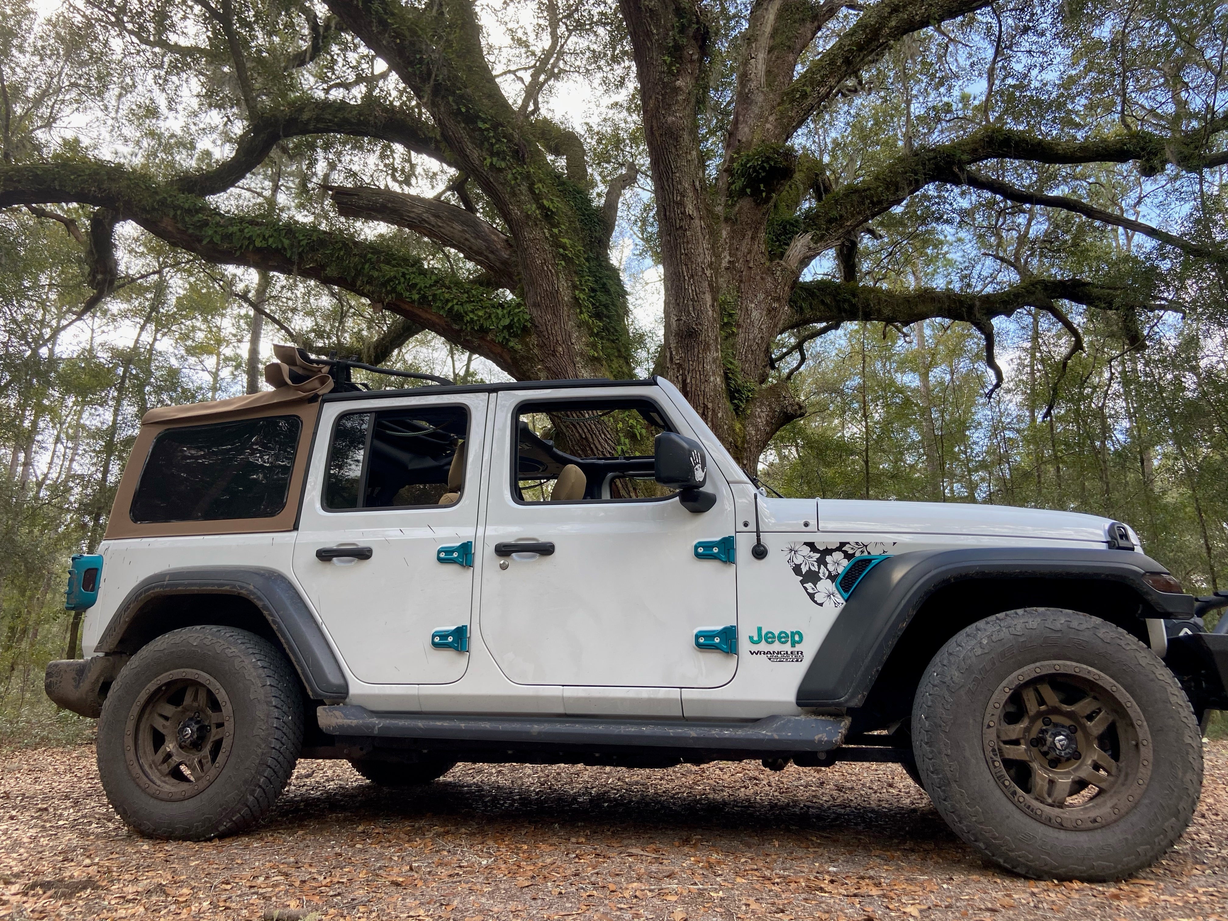Never Say "Never": The Journey to Color My Ride!-Color My Ride, LLC ...