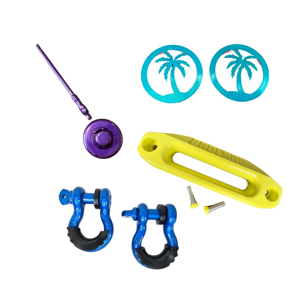 ACCESSORIES – Color My Ride, LLC