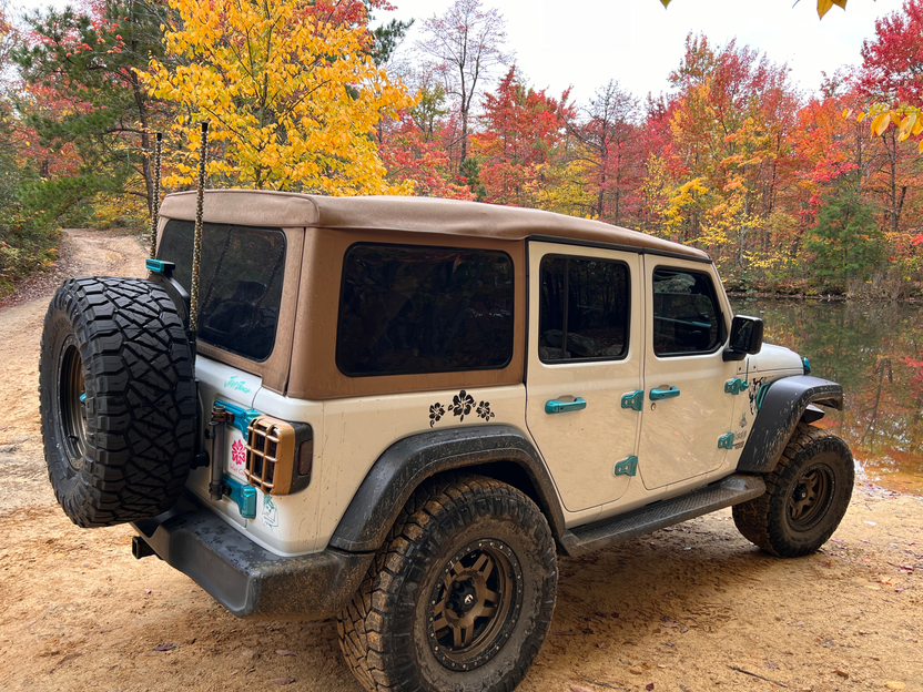 JEEP WRANGLER-Color My Ride, LLC – Color My Ride, LLC